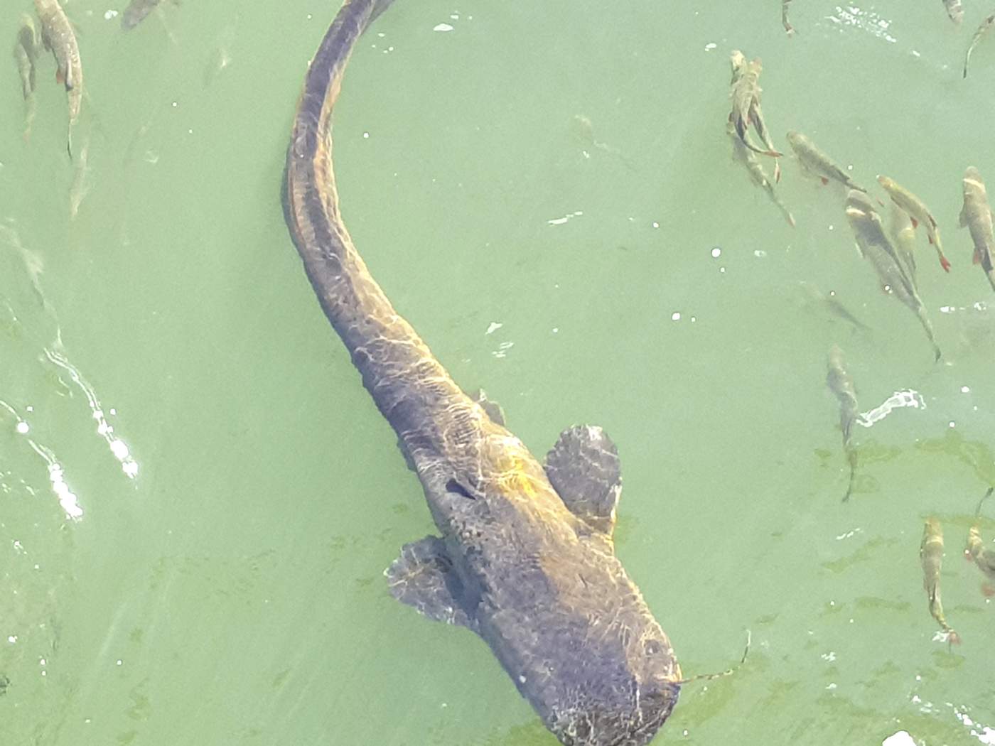 Chernobyl: a disaster turned into a dark tourist attraction